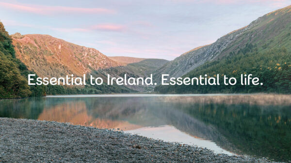 Turning Eircom into Eir: Ireland's biggest brand revamp in decades